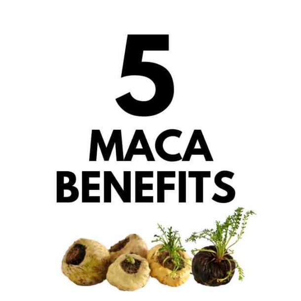 5 Maca Benefits You Need to Know - Pretty Pea