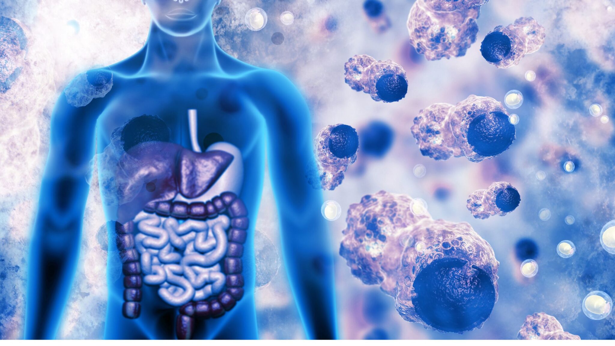 Cell Turnover – How Often Your Cells Renew - Pretty Pea